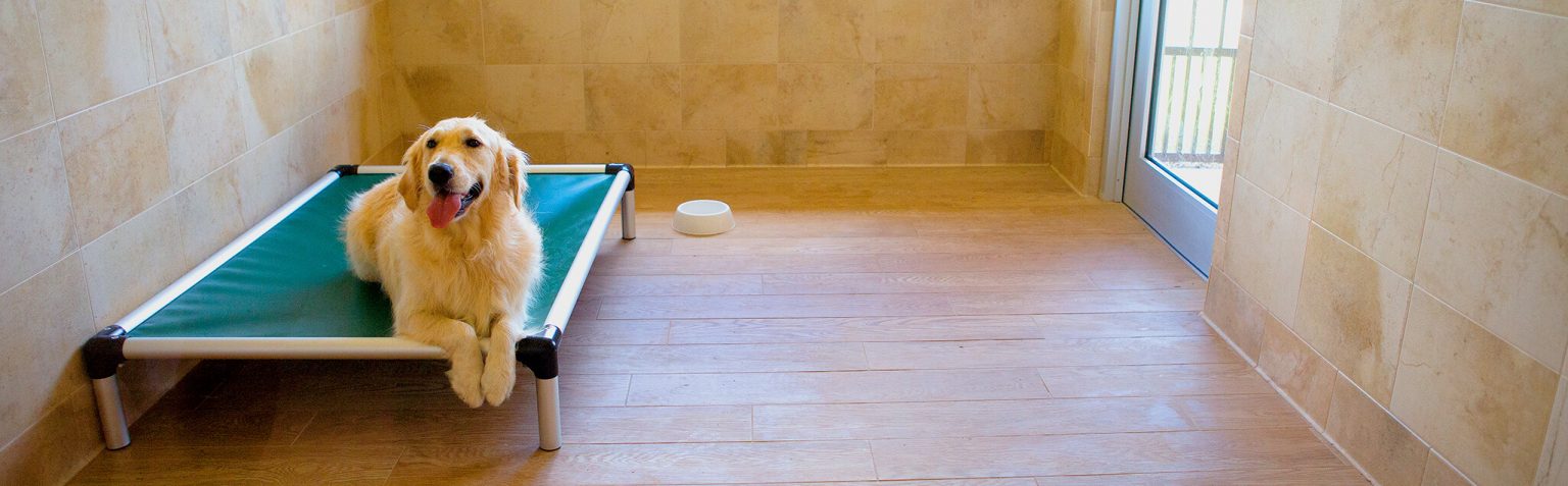 Help More | Donte's Den Foundation