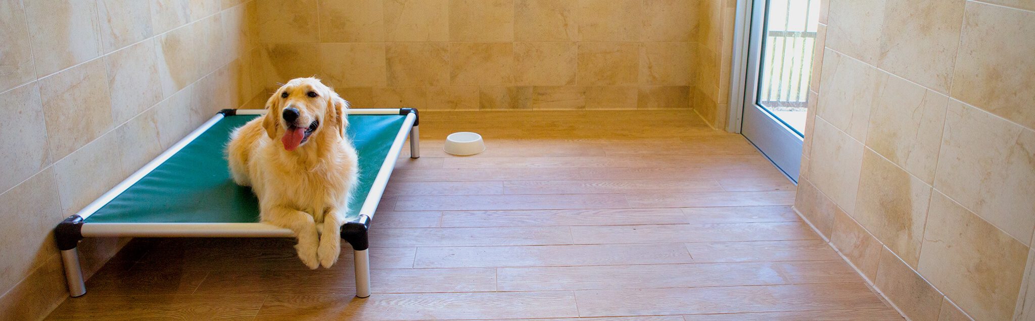 Help More | Donte's Den Foundation