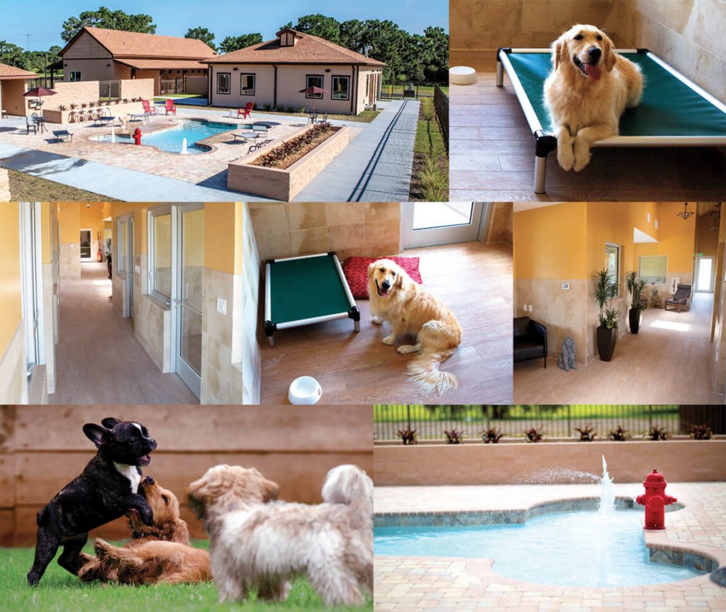 Dog Boarding | Donte's Den Foundation